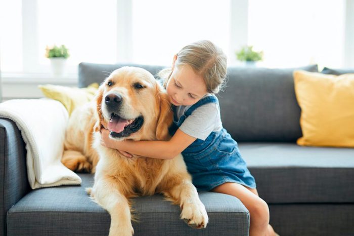 Convivencia entre perros y niños: beneficios | Grupo Bravel